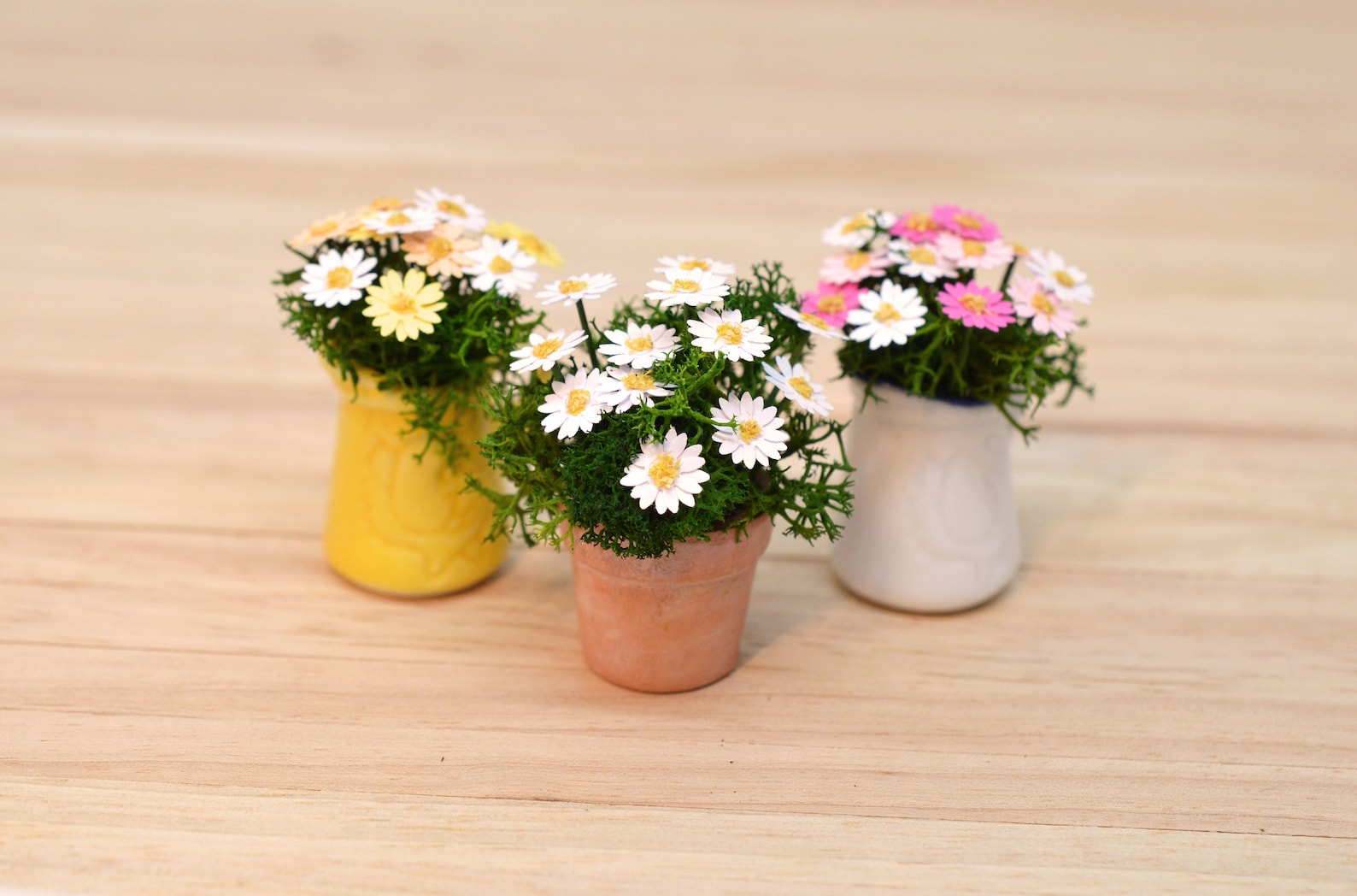 12 Miniature Daisies Kit Daisy Flowers 1:12 Scale Dolls House Garden ...