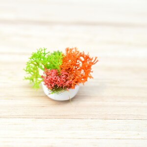 Miniature Halloween Spilled Potion Herbs Misty Potion Potions Witch ...