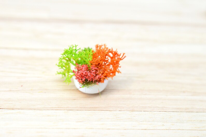 Miniature Halloween Spilled Potion Herbs Misty Potion Potions - Etsy