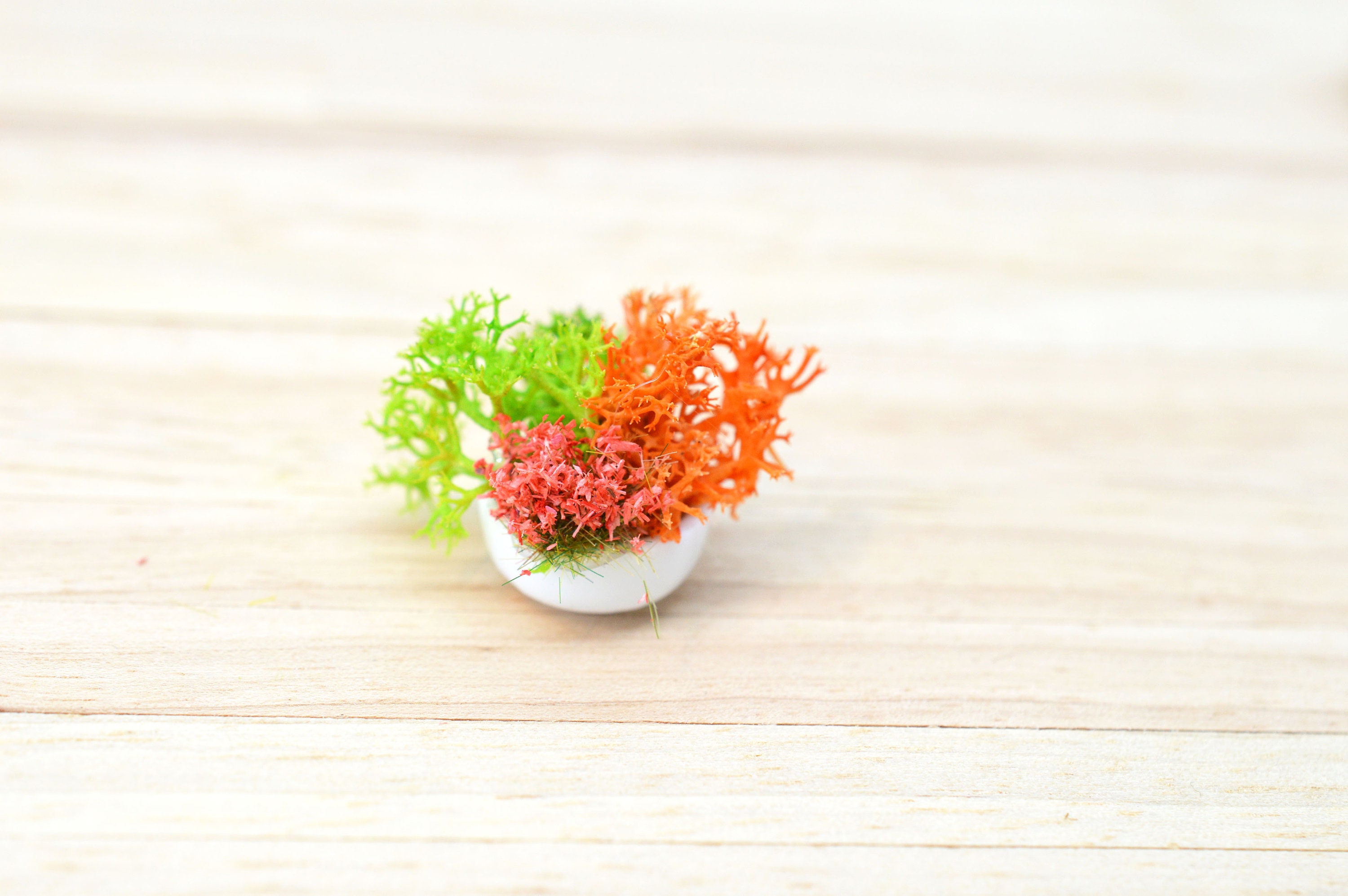 Miniature Halloween Spilled Potion Herbs Misty Potion Potions - Etsy