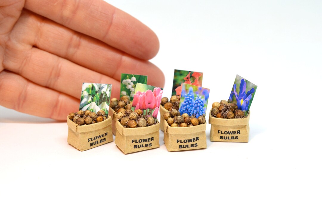 Miniature Open Flower Bulbs Bag 1:12 Scale Dolls House Garden Shed Pot ...