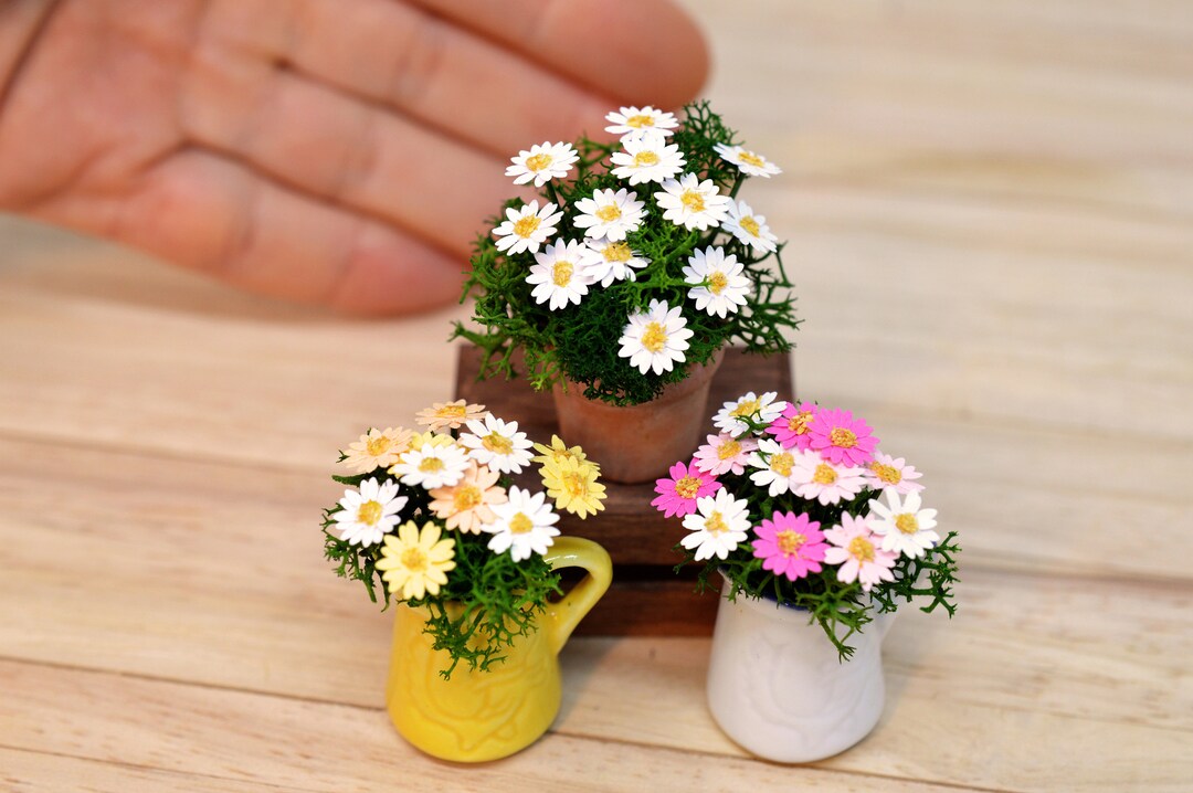 12 Miniature Daisies Kit Daisy Flowers 1:12 Scale Dolls House Garden ...
