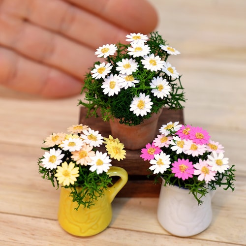 12 Miniature Cosmos Flowers Kit Flower 1:12 Scale Dolls House - Etsy