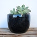 Black Clay Pot With Natural Texture. Perfect Shape for a Plant Hanger ...