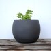 Black Clay Pot With Natural Texture. Perfect Shape for a Plant Hanger ...