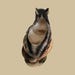 1960's Napco 5 1/2" Ceramic Chipmunk Planter! - Etsy