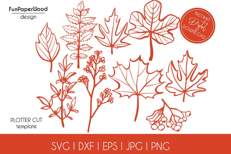 Set Fall Autumn Leaves Vector Svg Eps Pdf Png Jpeg File Maple | Etsy