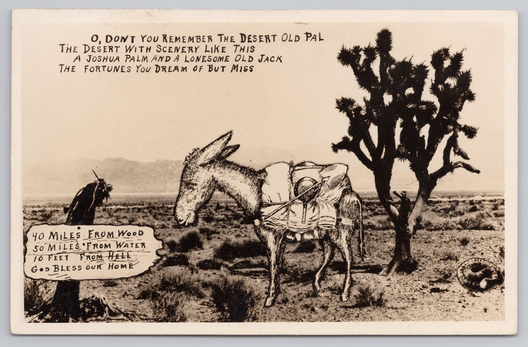 1960A Desert Scene Donkey Cartoon "10 Feet From Hell" 1940s RPPC ...