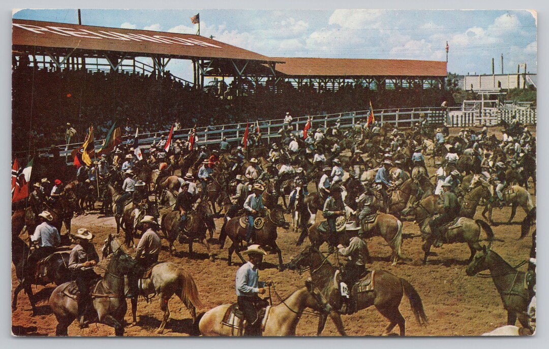 New Mexico Rodeo "a Typical Rodeo" C1950s Vintage Postcard 0646 - Etsy