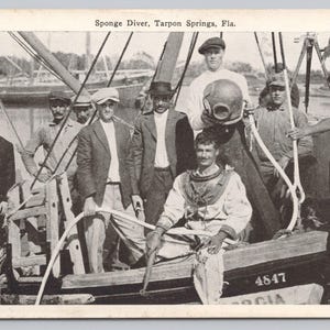 Sponge Diver, Tarpon Springs, Florida Postcard 1088 - Etsy