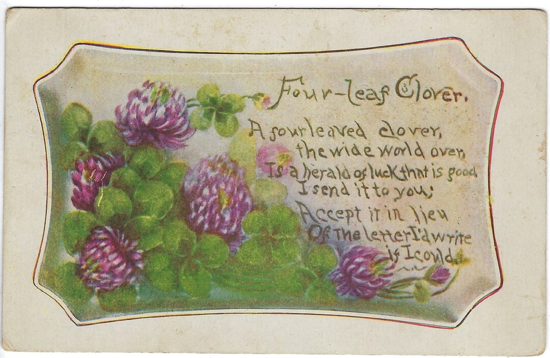 Four Leaf Clover Vintage Postcard - Etsy