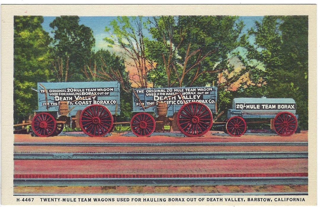 Vintage Postcard Barstow California 20-mule Team Wagons Hauling Borax ...