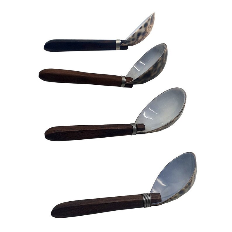 Miniature Ladle Sea Shell Serving Utensils Set of 4 8cm - Etsy