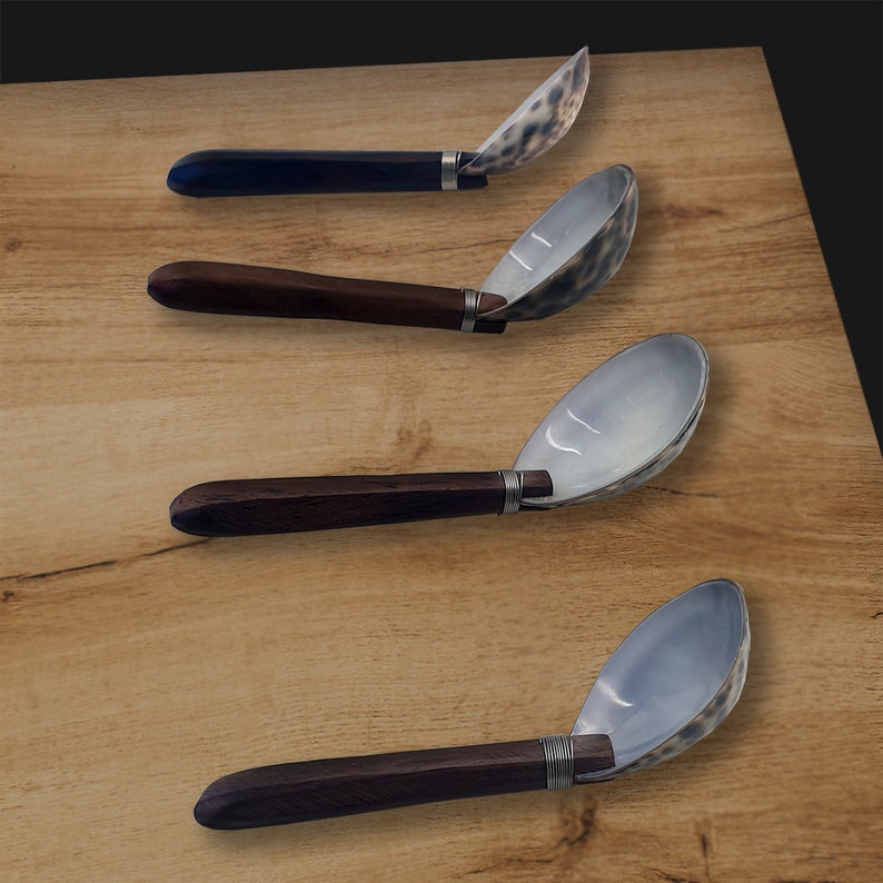 Miniature Ladle Sea Shell Serving Utensils Set of 4 8cm - Etsy