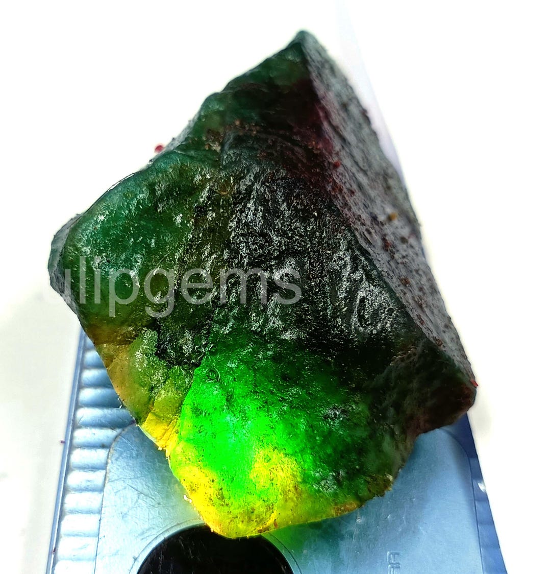 Green Emerald Rough Cut 340.00 Carat EGL Certified 70x42x24 MM Uncut ...