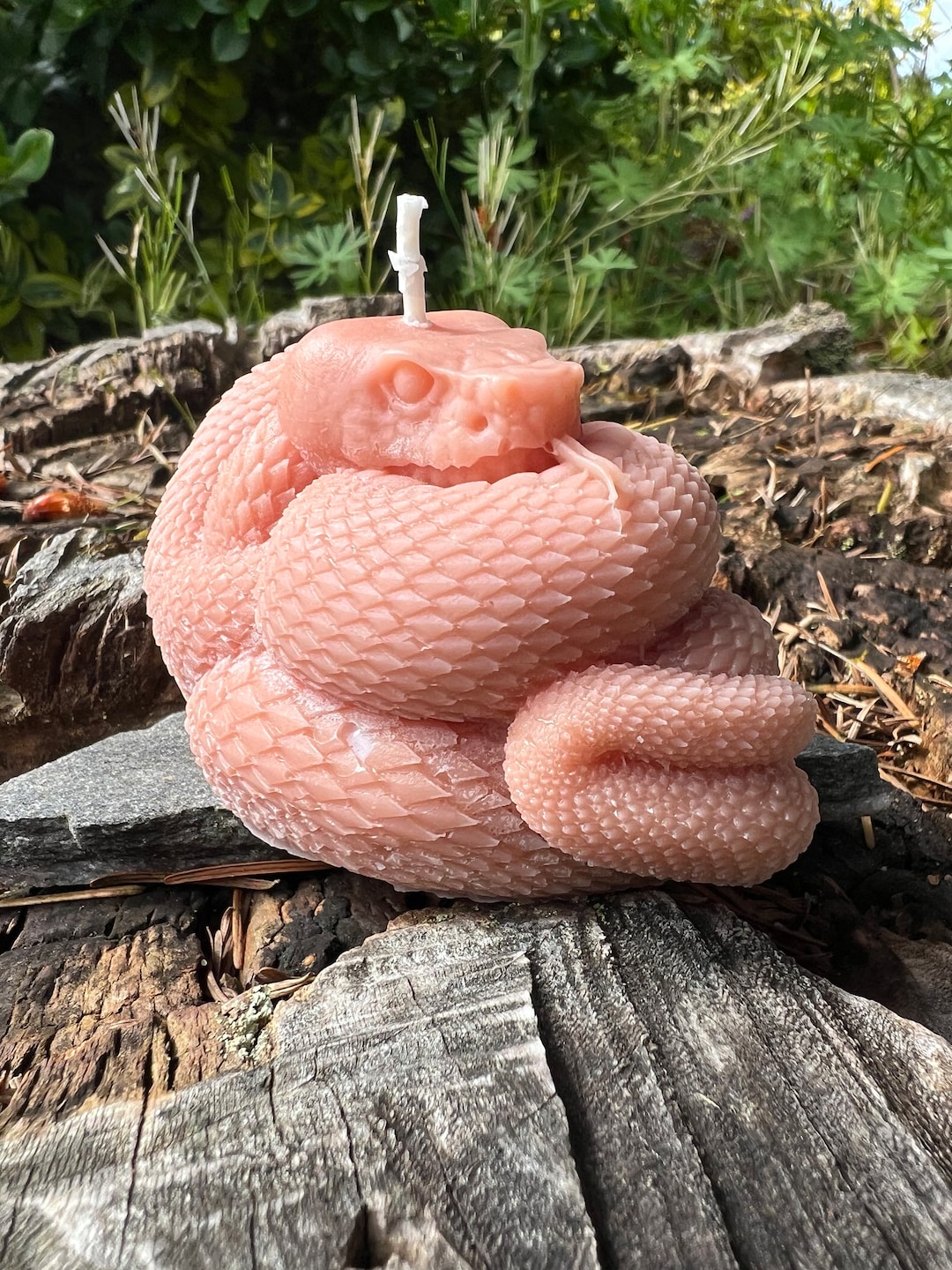 Snake Candle, Realistic Snake Candle, 3D Candle, Reptile Candle, Animal ...