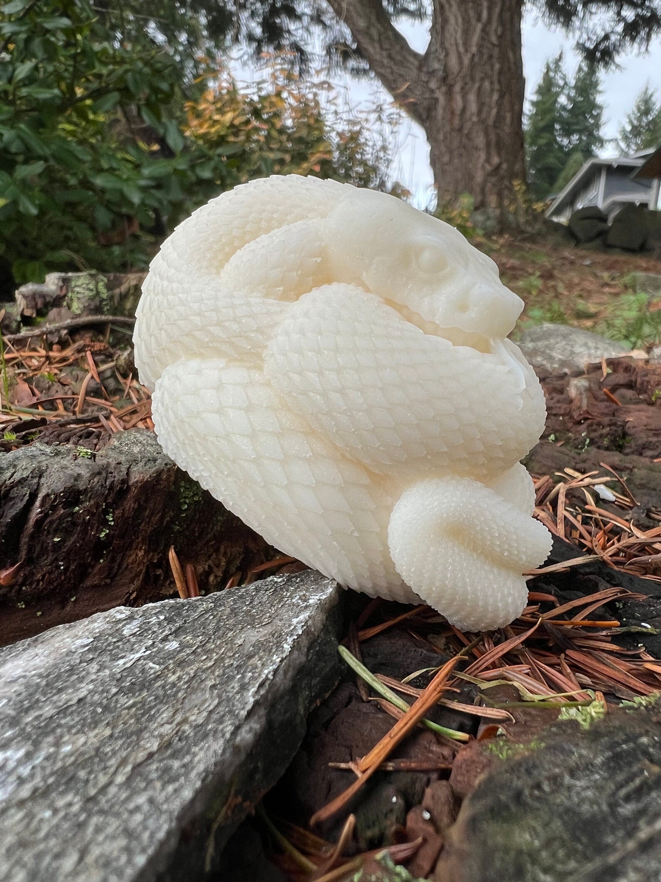 Snake Candle, Realistic Snake Candle, 3D Candle, Reptile Candle, Animal ...