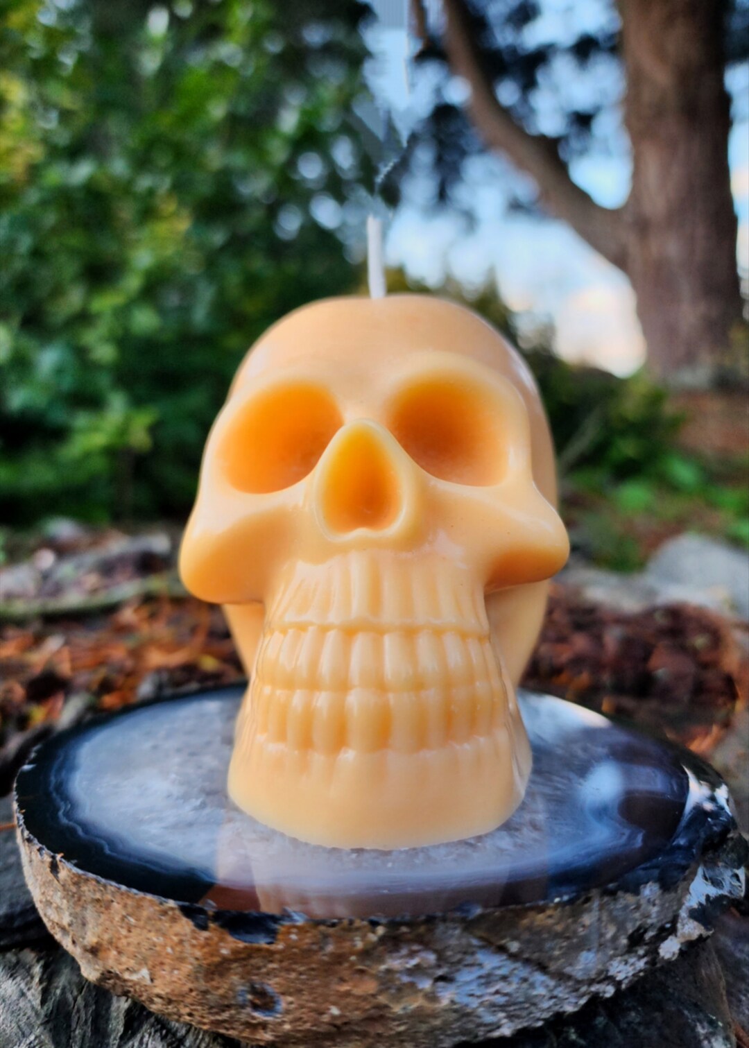 Skull, Skull Candle, 3D Candle, Vegan Candle, Oddities Candle, Soy ...