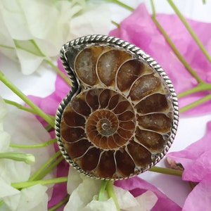 Buy Ammonite Ring, Sterling Silver Ring, Ammonite Fossil Ring, Vintage ...