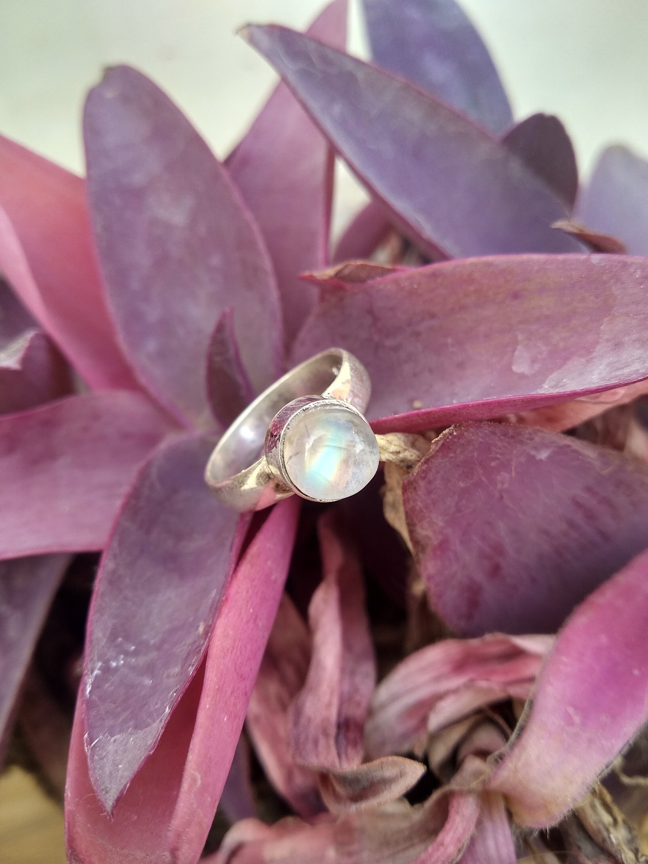 Rainbow Moonstone Ring June Birthstone Sterling Silver Ring | Etsy