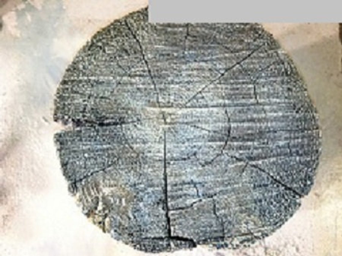 Concrete Texture Stamps - Tree Stump Stamp Kit, Perfect Tree Stamps for ...