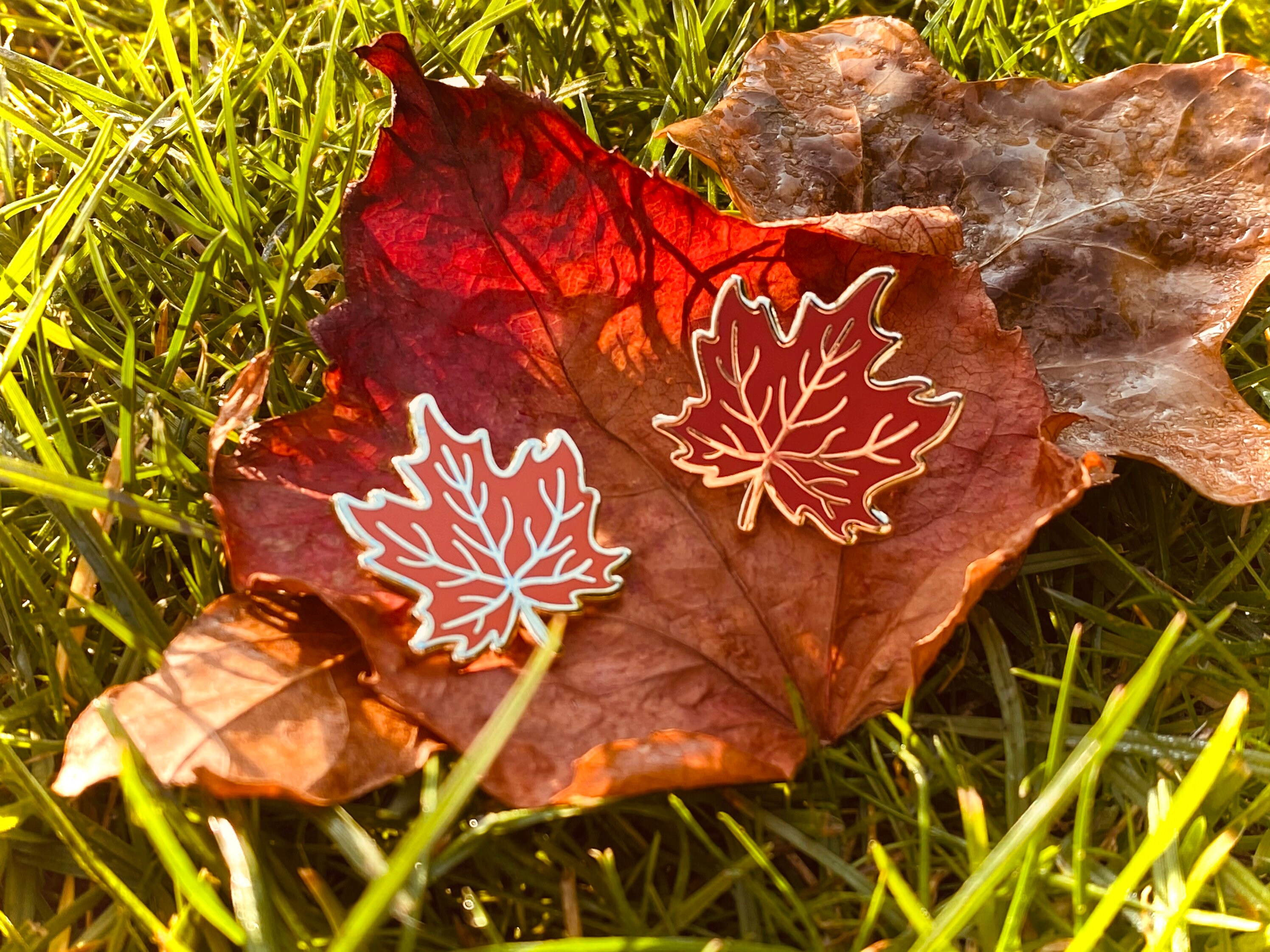 Autumn Leaf Duo, 2 Hard Enamel Pins, a Great Gift for Fall! - Etsy