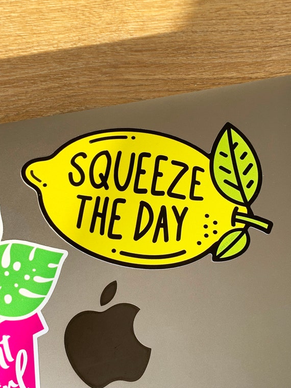 Squeeze the Day Vinyl Sticker a Great Addition to Any Sticker | Etsy