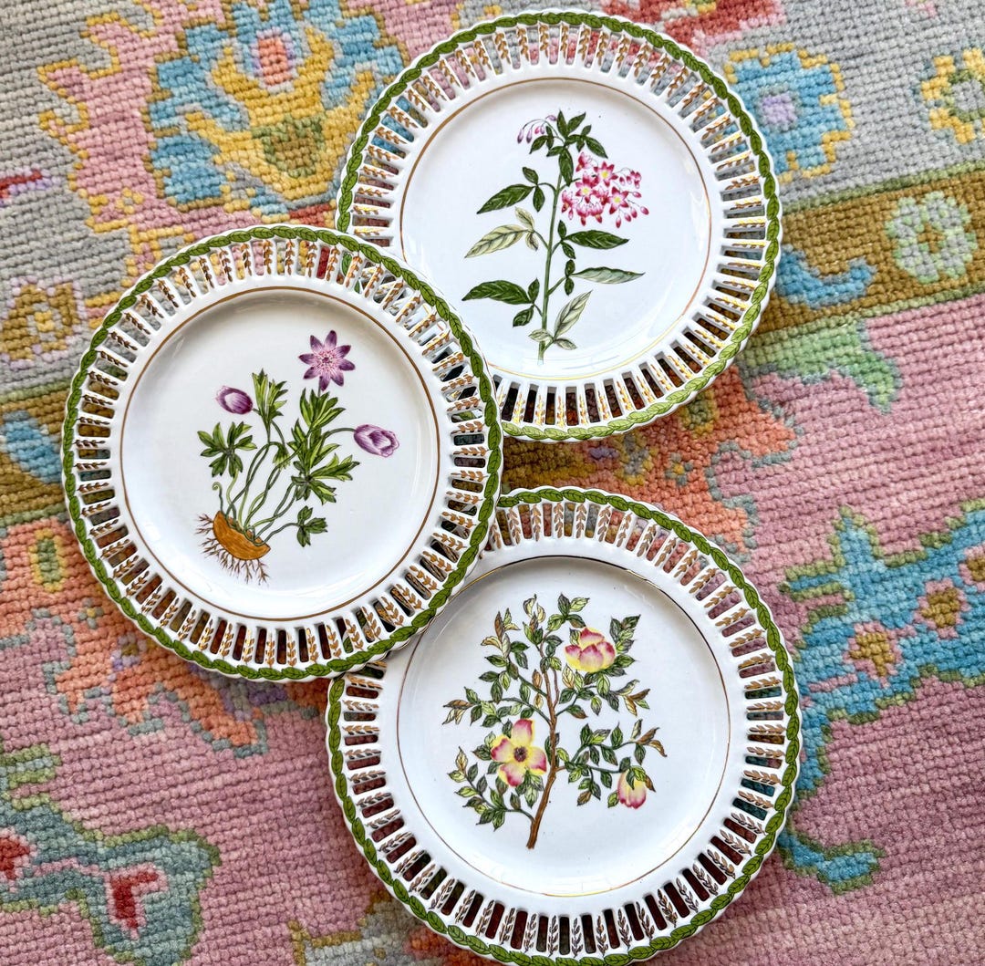 Vintage TRIO of 10" Reticulated Botanical Plates - Grandmillennial ...
