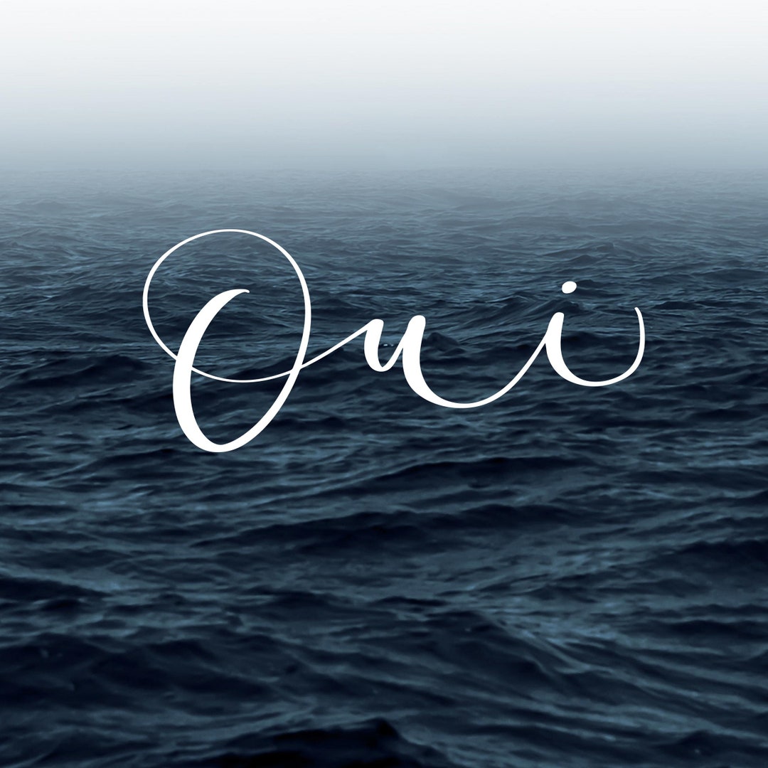 Oui French Calligraphy Lettering SVG Download, Hand Lettered SVG ...