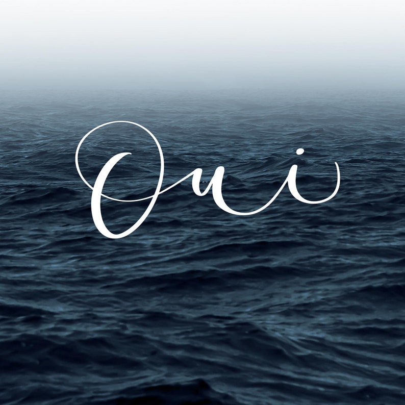 Oui French Calligraphy Lettering SVG Download, Hand Lettered SVG ...