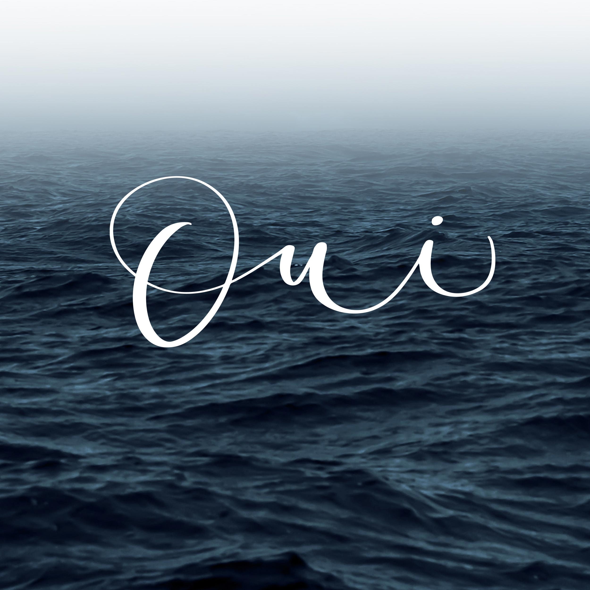 Oui French Calligraphy Lettering SVG Download, Hand Lettered SVG ...