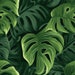 Monstera Deliciosa Seamless Pattern - Etsy