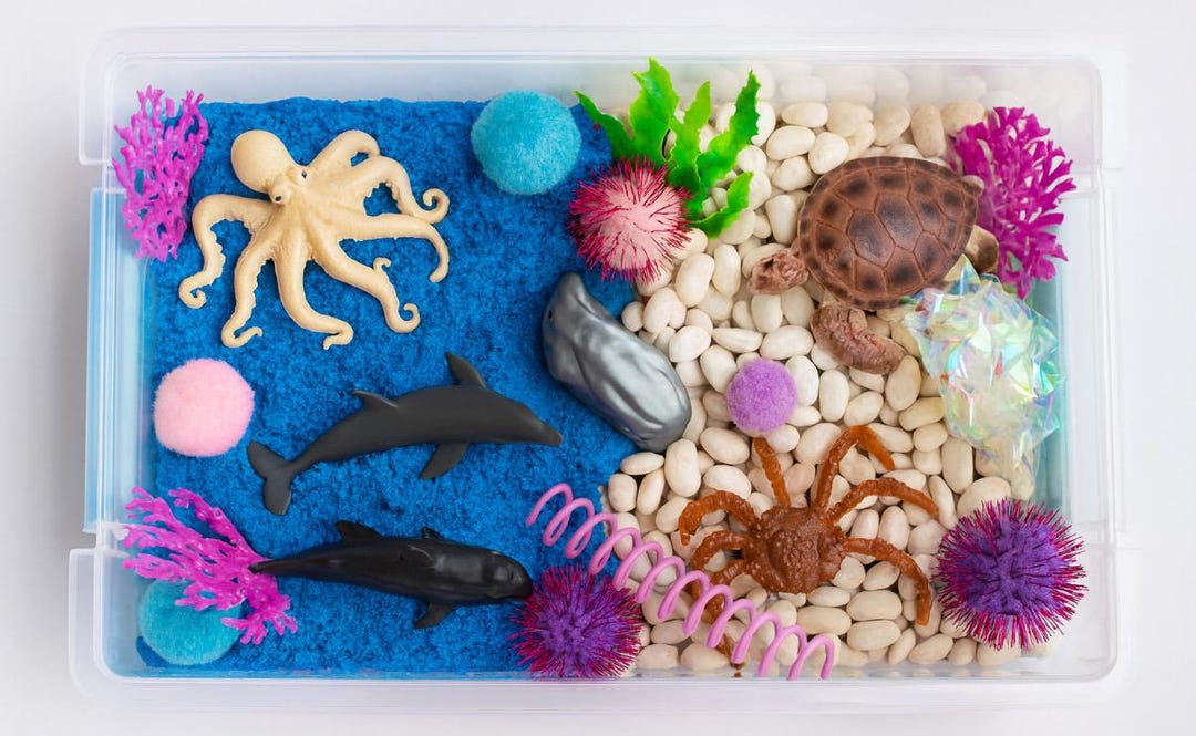 Under the Sea Sensory Box - Etsy