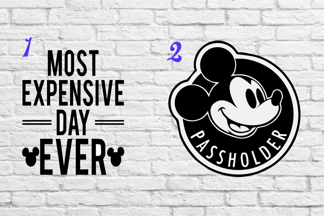 Disney Passholder Decals/vinyl Decal/kids Room/ Yeti Decal/ Glass Block ...