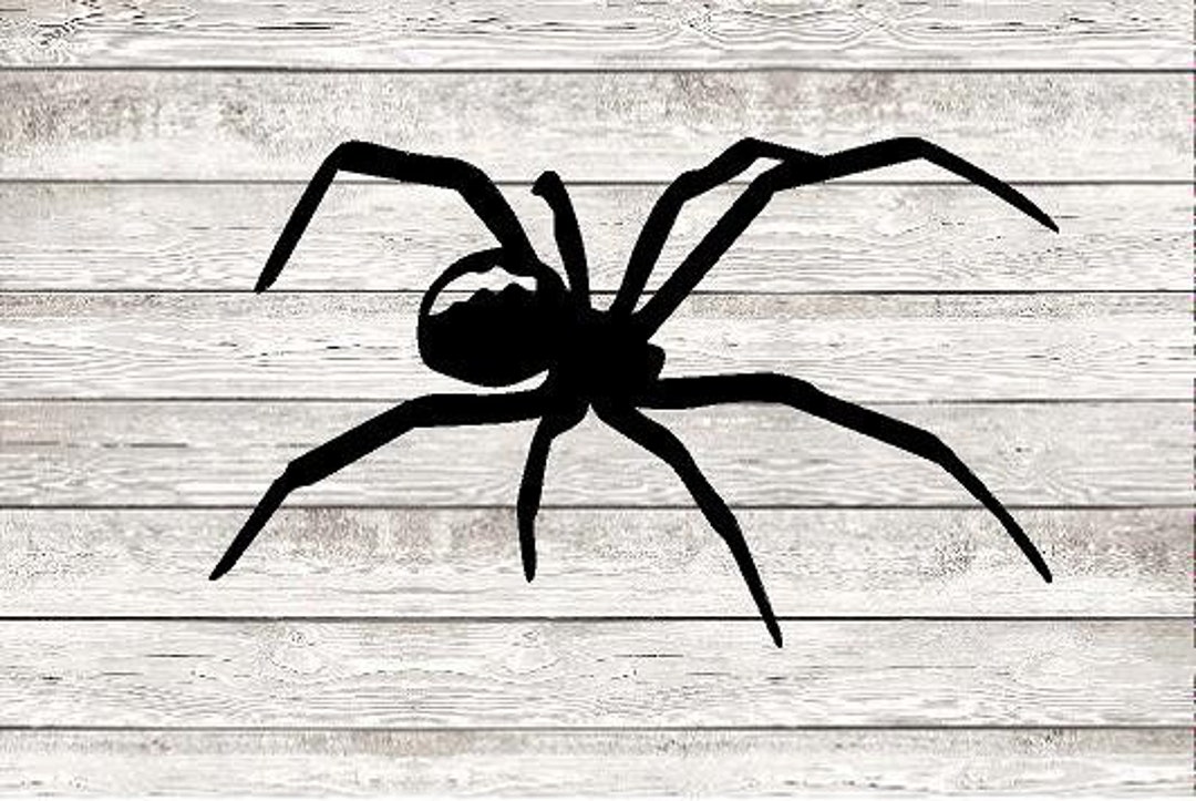 Spider Decal /vinyl Decal/kids Room/ Yeti Decal/ Glass Block Decal/ Car ...