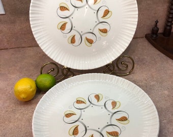 Translucent China - Etsy