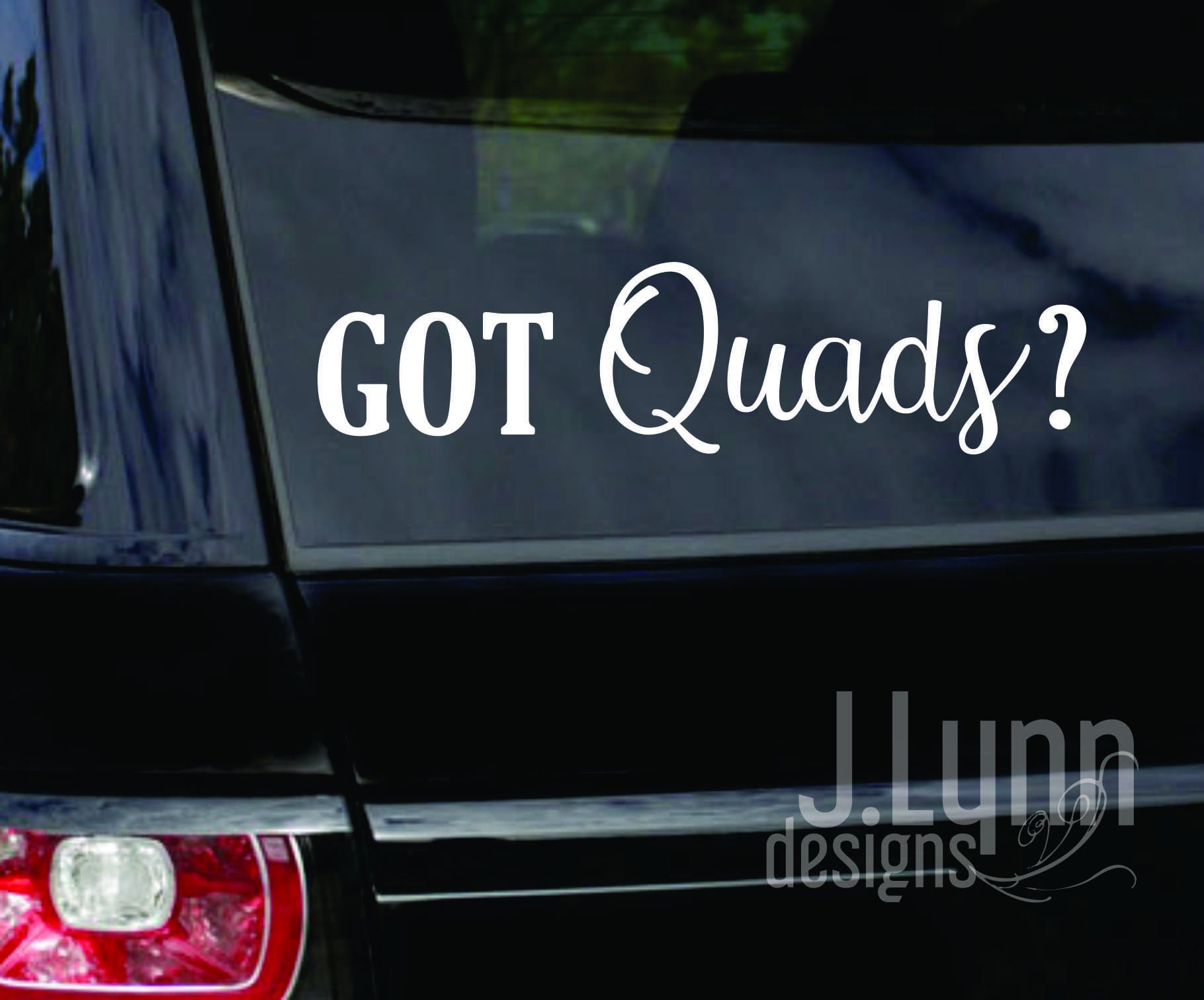 Got Multiples? Twins Triplets Quads Car Decals, Window Graphic, Babies ...