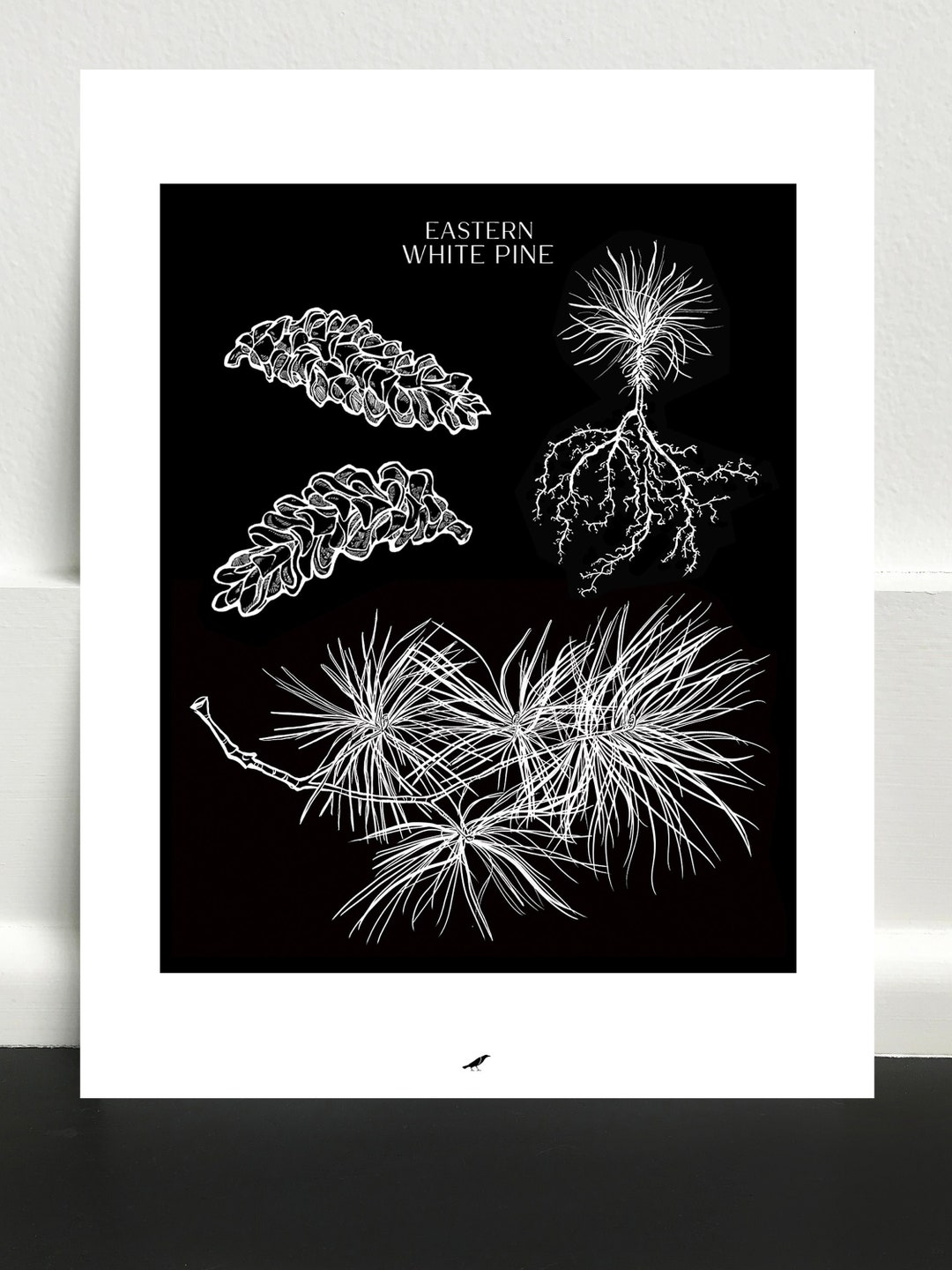 Eastern White Pine Art Print - Etsy