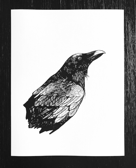 Art Prints - CAPTAIN AND BIRD