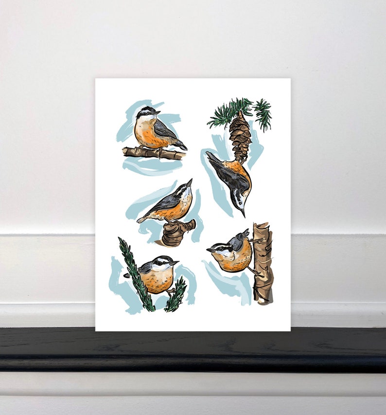 Red Breasted Nuthatch Art Print - Etsy