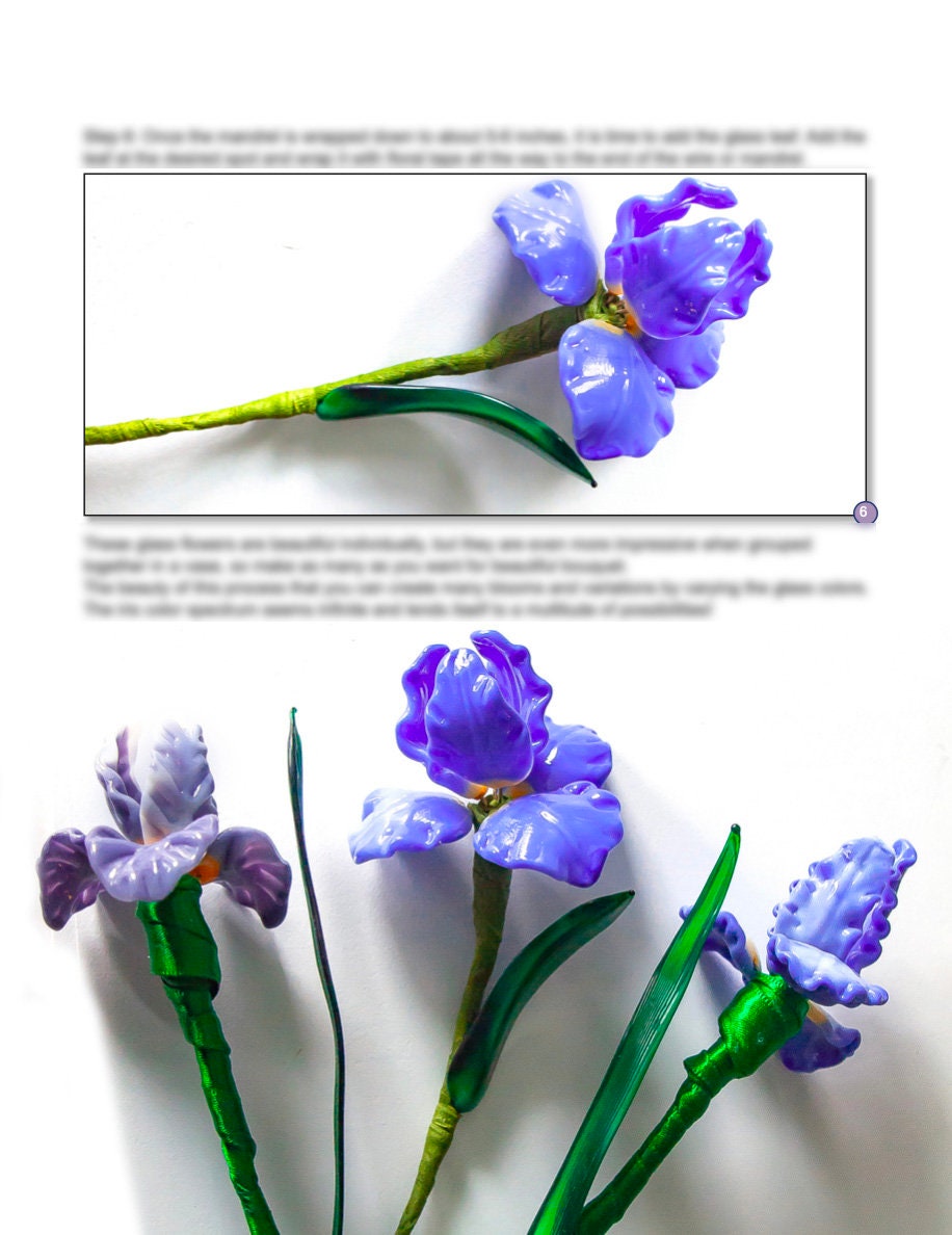 Iris, Step by Step Lampwork off Mandrel Flower Tutorial by Anna Miller ...