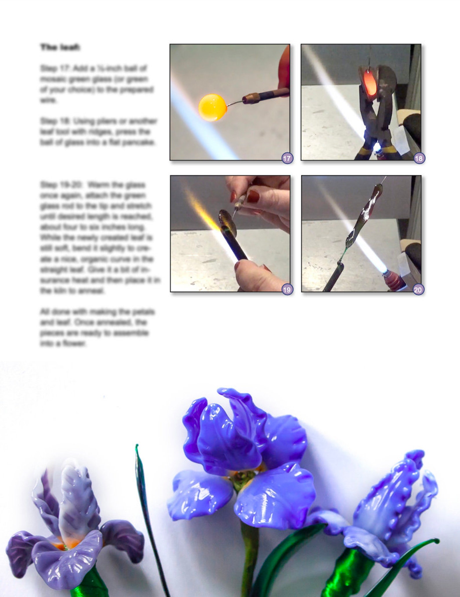 Iris, Step by Step Lampwork off Mandrel Flower Tutorial by Anna Miller ...