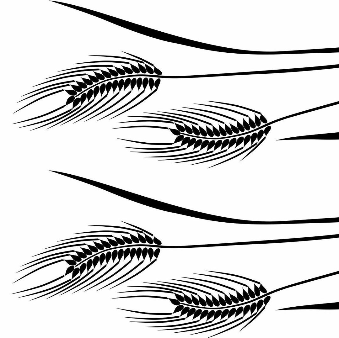 Barley Vector Drawing Bundle - Fields of Gold Waves of Barley - Instant ...