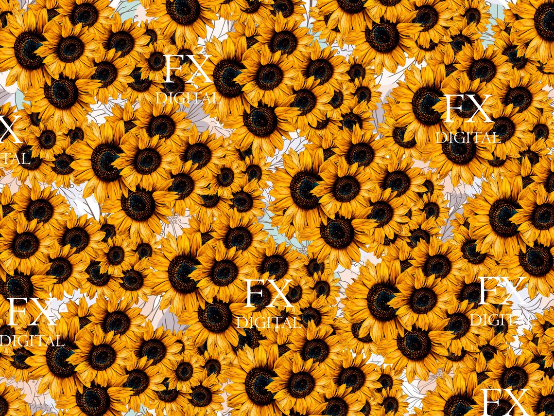 Seamless Sunflower Overlay Pattern With Transparent Background - Etsy