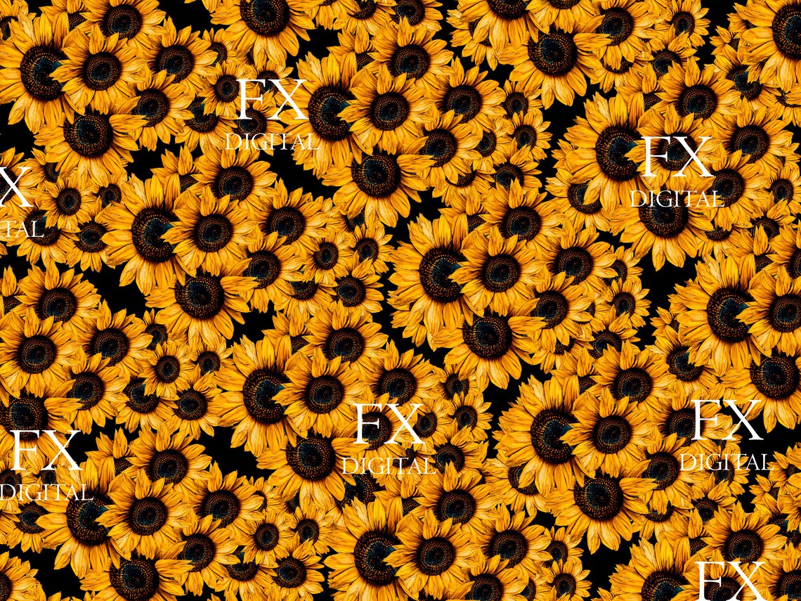 Seamless Sunflower Overlay Pattern With Transparent Background - Etsy