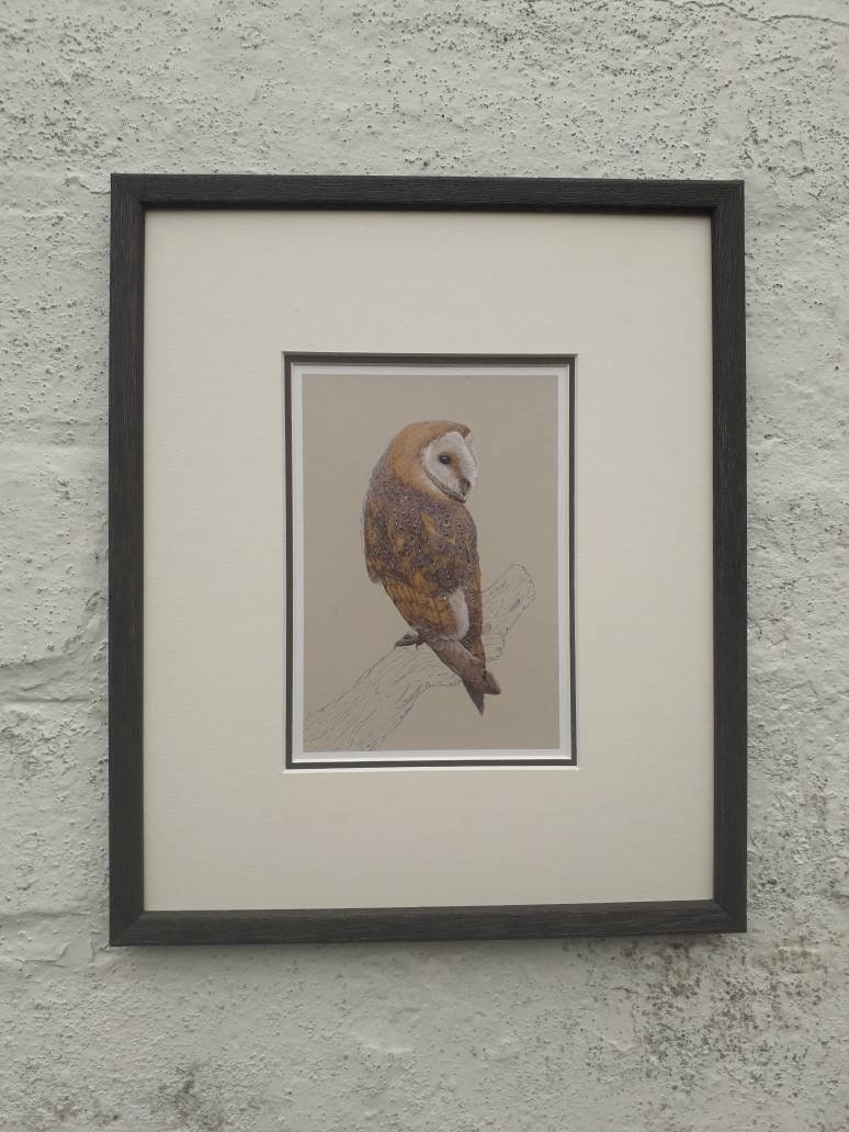 Ben Rothery Framed Art barn Owl | Etsy