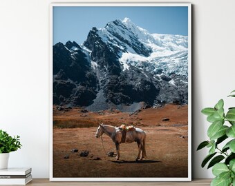 Peruvian Horse Poster - Etsy