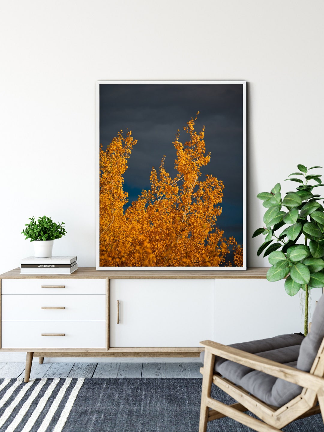 Fine Art Aspen Forest Print Aspen Tree Wall Art Nature Landscape Print ...