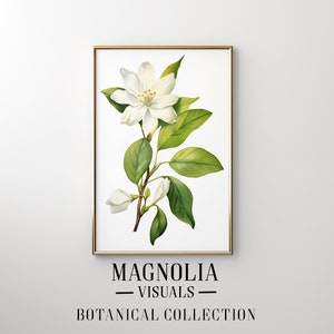 Jasmine Flower, Printable Watercolor Art, Digital Products, Floral Wall ...