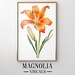 Tiger Lily Flower, Printable Watercolor Art, Digital Products, Floral ...
